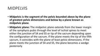 Fetal skull and maternal pelvis | PPTX