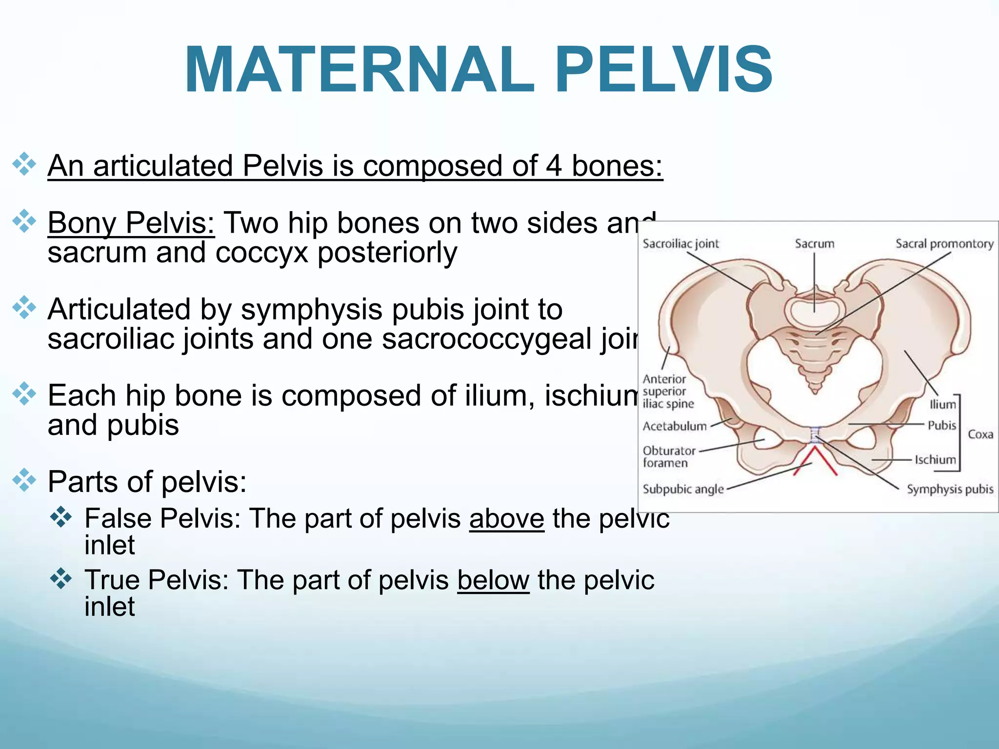 FETAL SKULL AND MATERNAL PELVIS (Dr. Utpala Mazumder).pptx