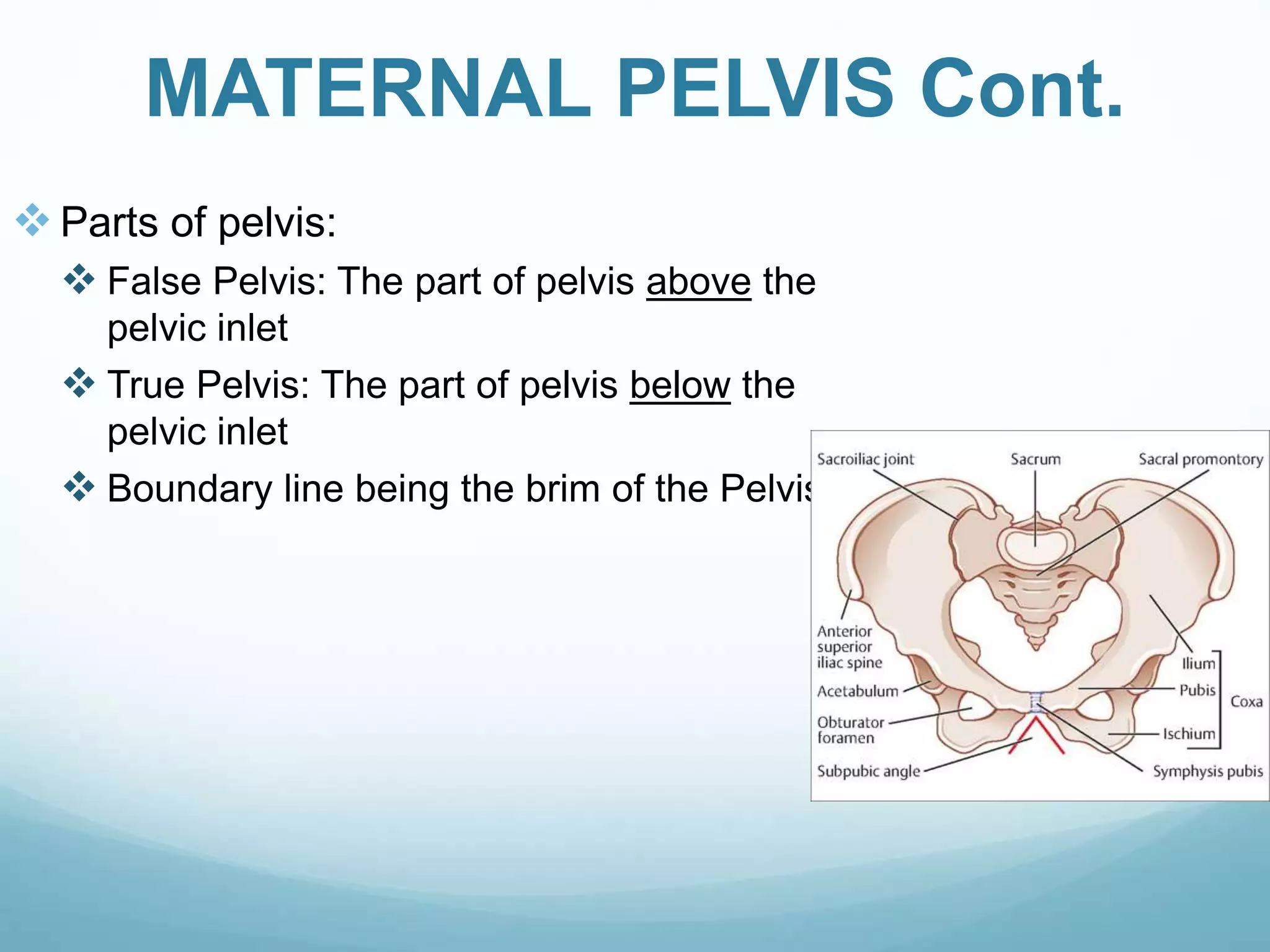 FETAL SKULL AND MATERNAL PELVIS (Dr. Utpala Mazumder).pptx