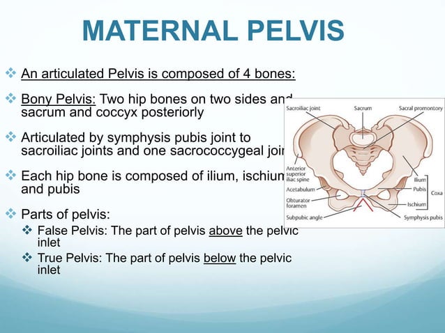 FETAL SKULL AND MATERNAL PELVIS (Dr. Utpala Mazumder).pptx