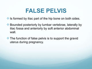 FETAL SKULL AND MATERNAL PELVIS (Dr. Utpala Mazumder).pptx