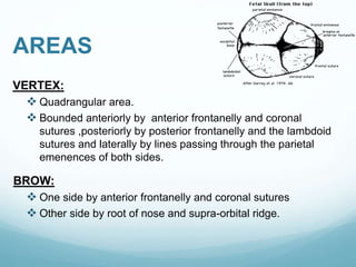FETAL SKULL AND MATERNAL PELVIS (Dr. Utpala Mazumder).pptx