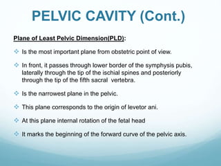 FETAL SKULL AND MATERNAL PELVIS (Dr. Utpala Mazumder).pptx