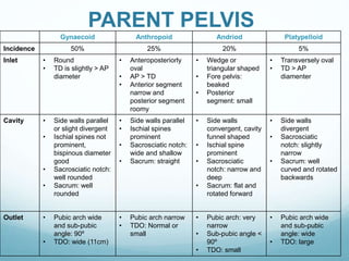 FETAL SKULL AND MATERNAL PELVIS (Dr. Utpala Mazumder).pptx
