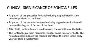 FETAL SKULL BY FELI.pdf