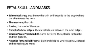 FETAL SKULL BY FELI.pdf