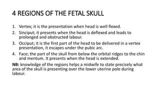 FETAL SKULL BY FELI.pdf