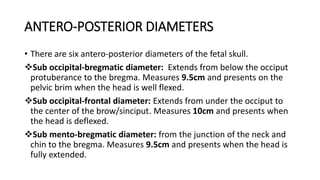 FETAL SKULL BY FELI.pdf | Free Download