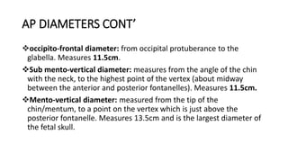 FETAL SKULL BY FELI.pdf