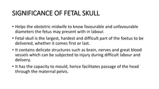 FETAL SKULL BY FELI.pdf
