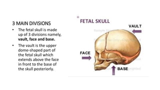 FETAL SKULL BY FELI.pdf