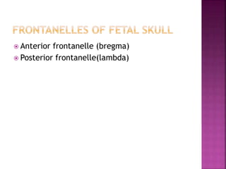 Fetal skull diagram | PPTX