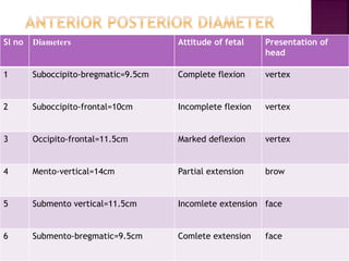 Fetal skull diagram | PPTX