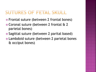 Fetal skull diagram | PPTX