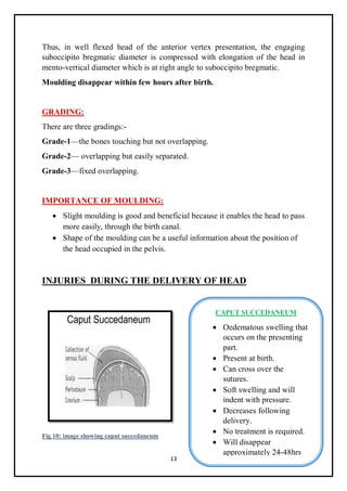 FETAL SKULL DISCUSSION (1).pdf