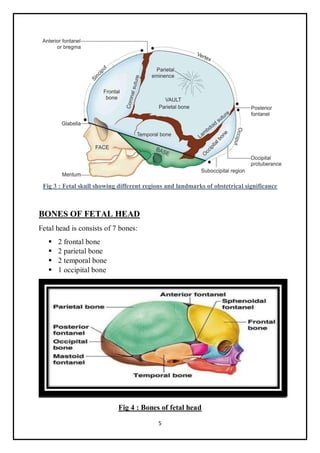 FETAL SKULL DISCUSSION (1).pdf
