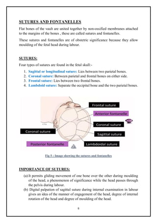 FETAL SKULL DISCUSSION (1).pdf