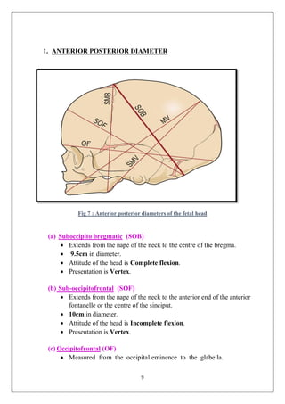 FETAL SKULL DISCUSSION (1).pdf