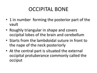 FETAL_SKULL .Its Anatomy and physiology. | PPTX