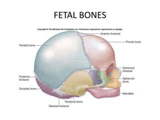 FETAL_SKULL .Its Anatomy and physiology. | PPTX