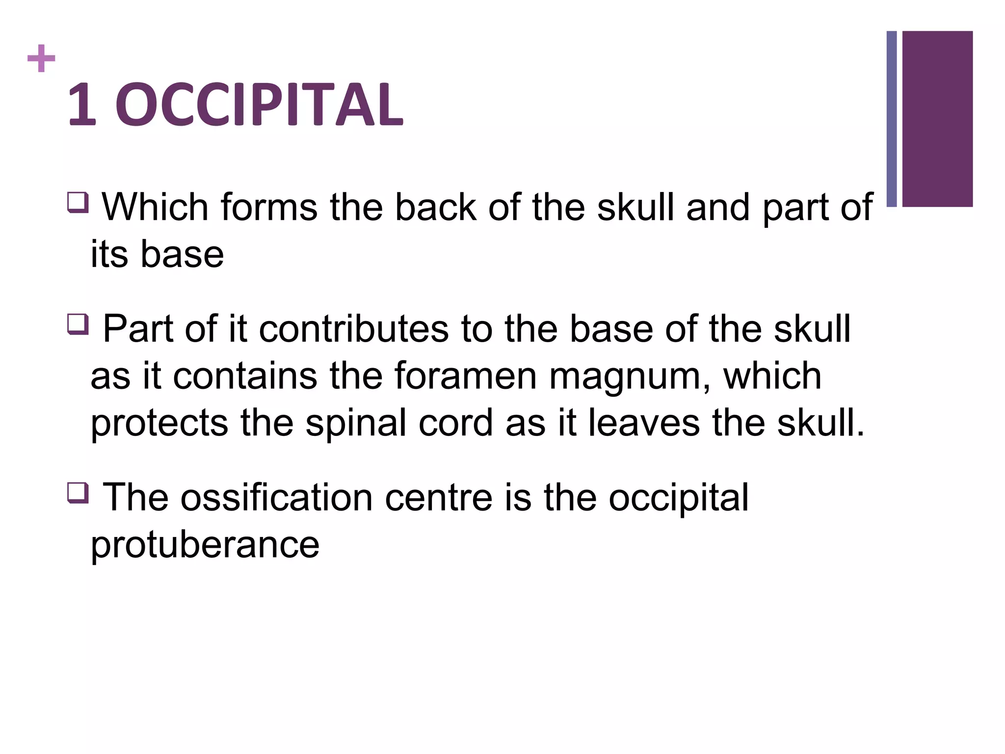 Fetal skull | PPT