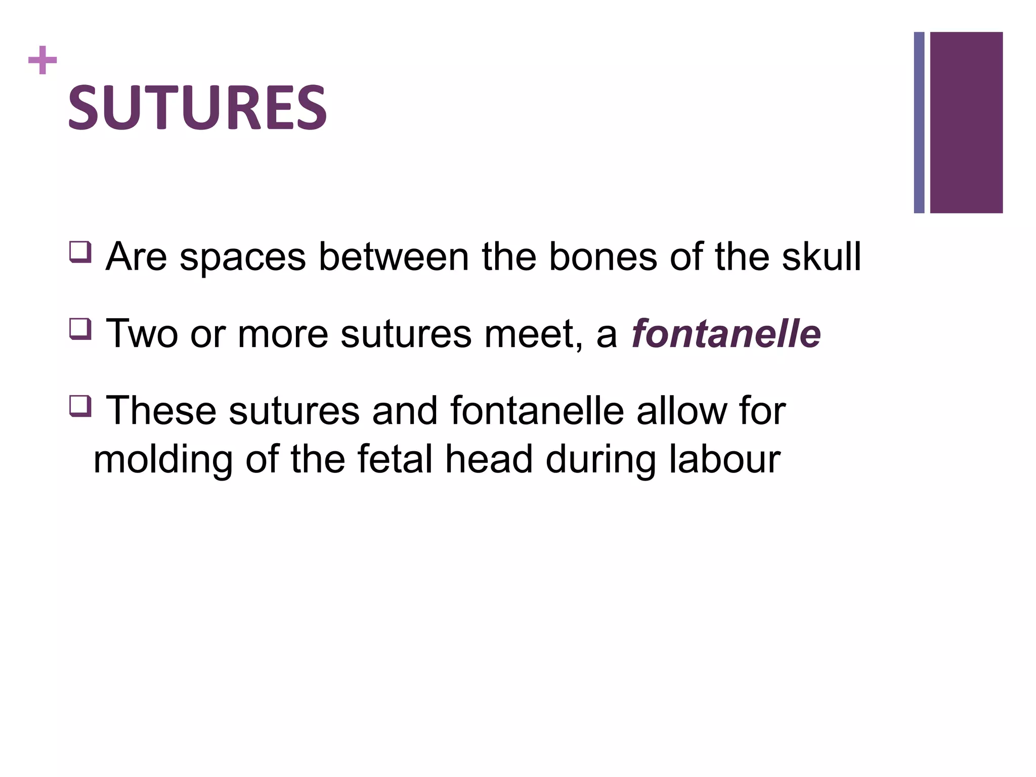 Fetal skull | PPT