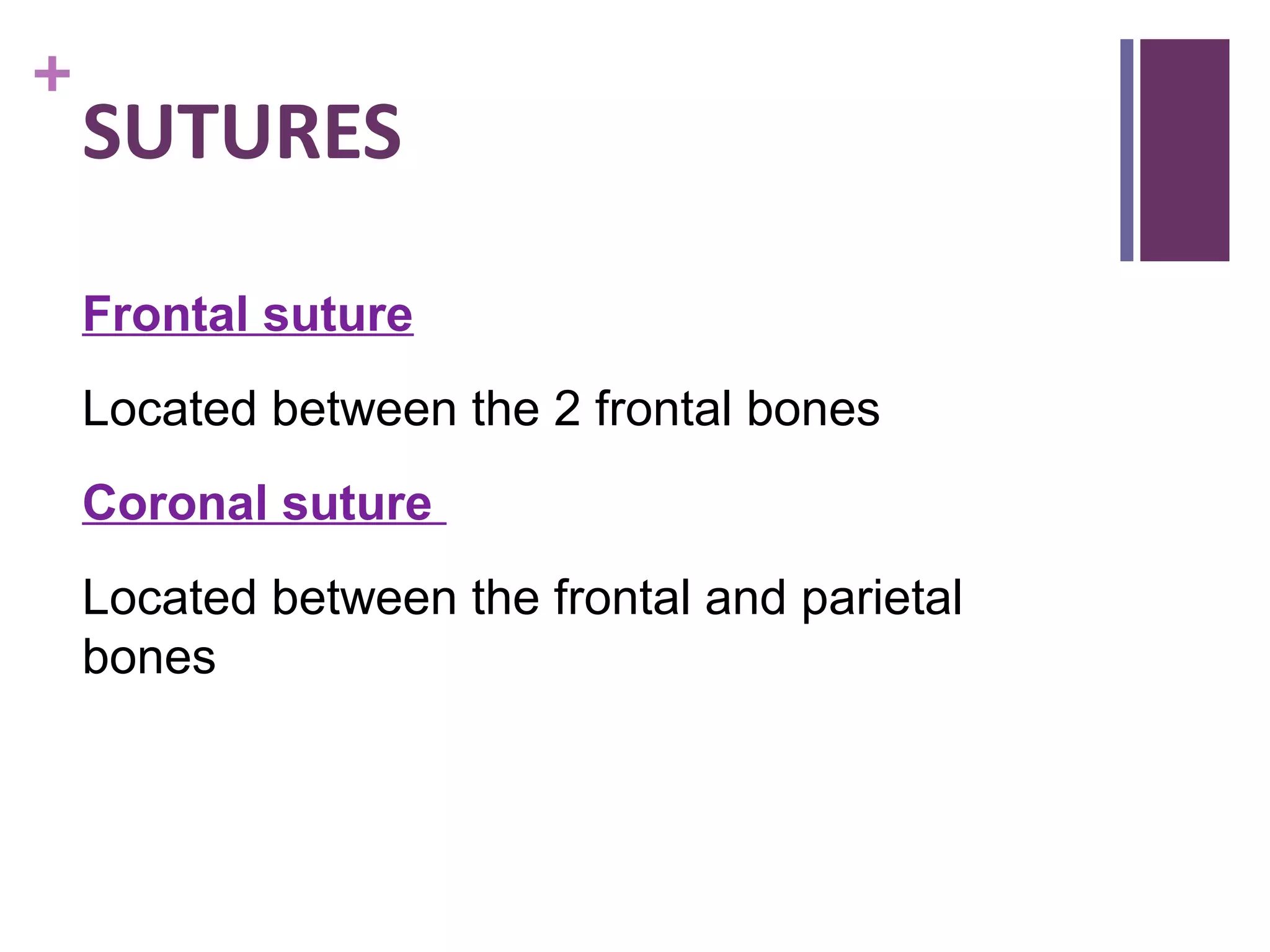 Fetal skull | PPT