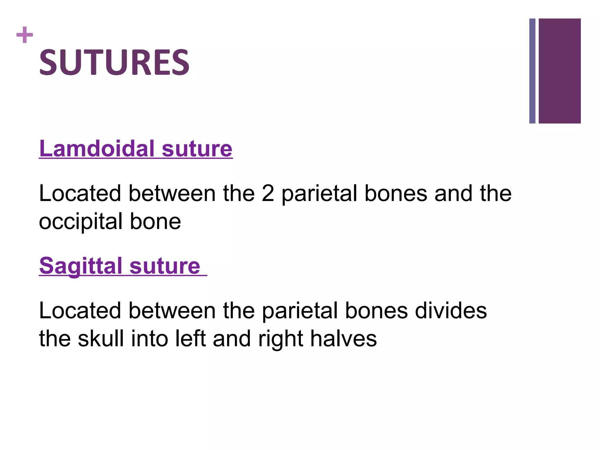 Fetal skull | PPT