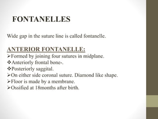 Fetal skull ppt | PPTX