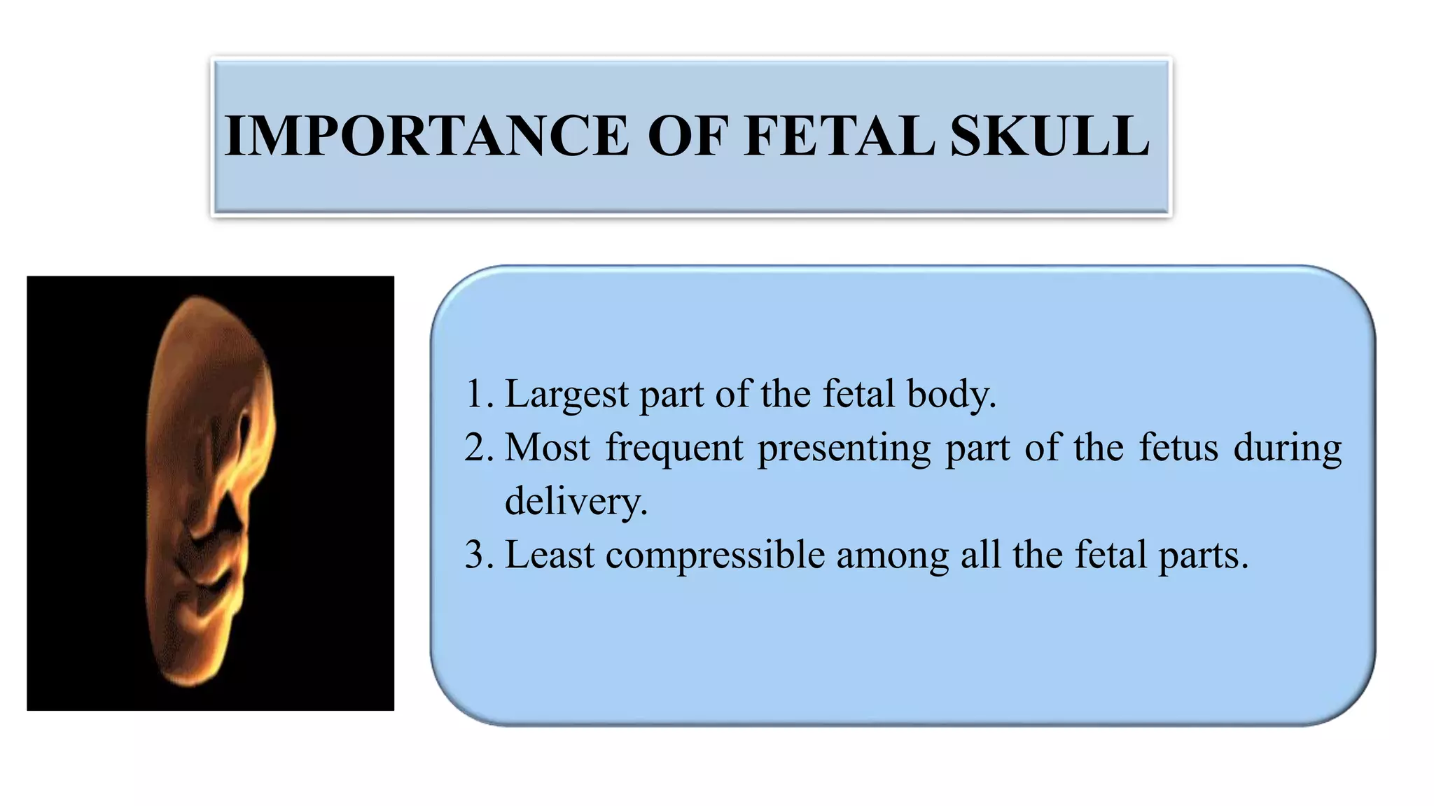 FETAL SKULL PPT .pptx