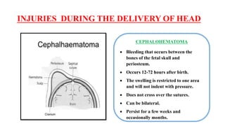 FETAL SKULL PPT .pptx