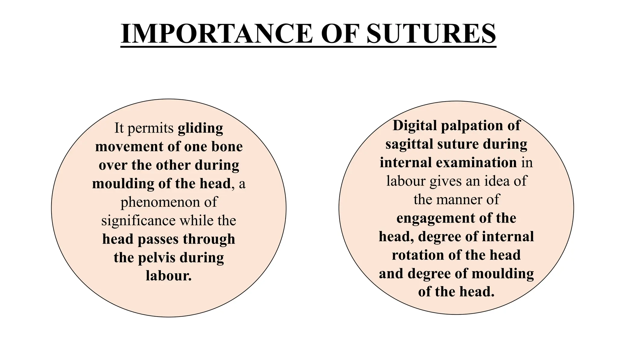 FETAL SKULL PPT (1).pptx