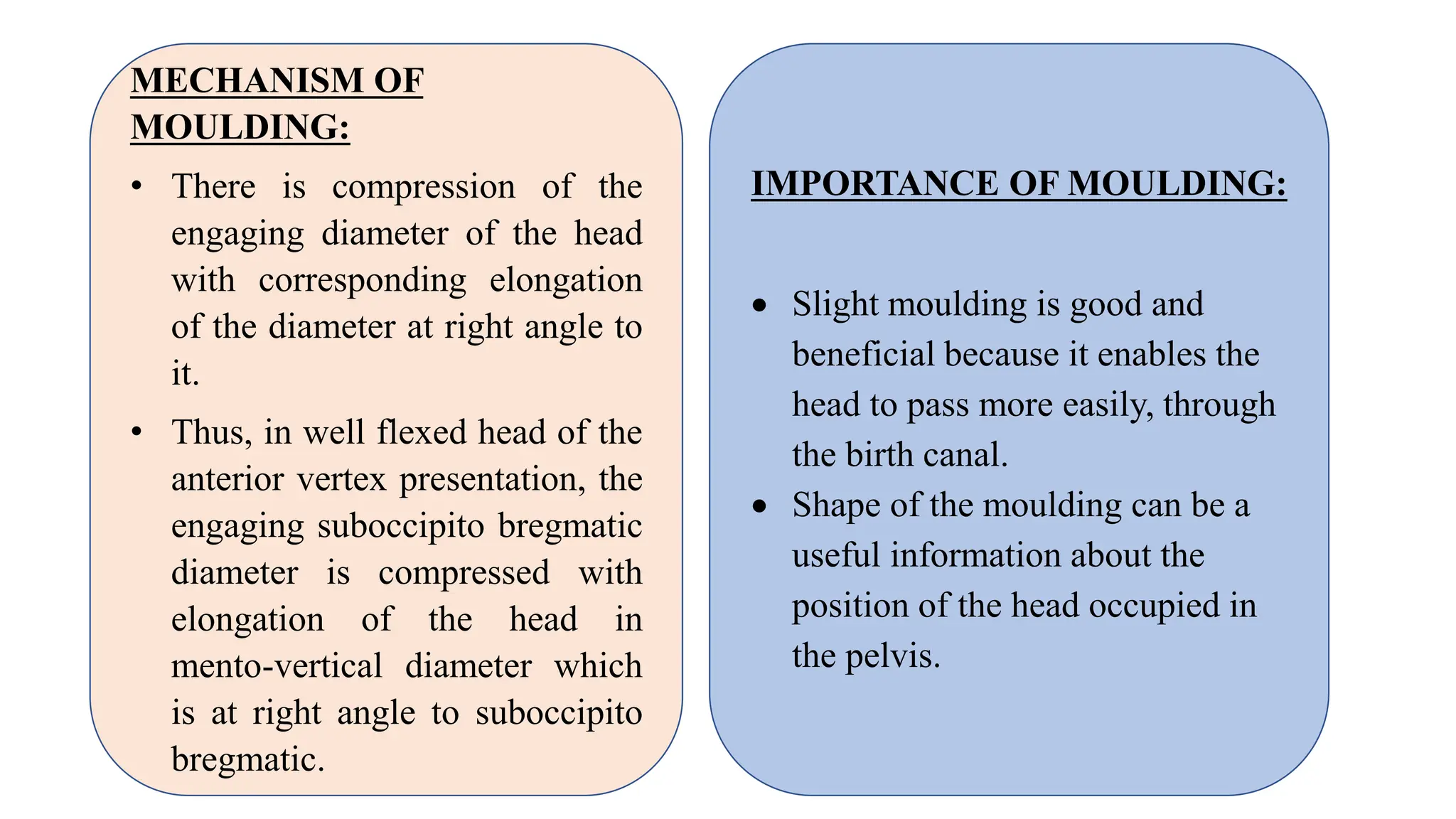 FETAL SKULL PPT (1).pptx