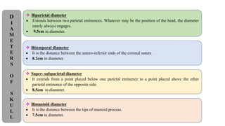 FETAL SKULL PPT (1).pptx