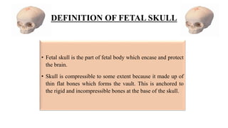 FETAL SKULL PPT (1).pptx