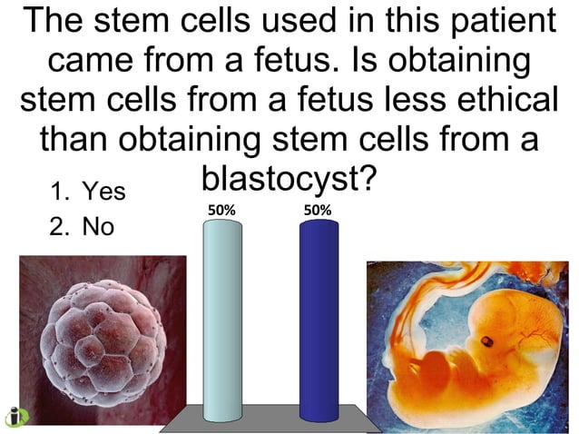Fetal stem cells | PPT | Biological Sciences | Science