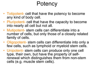 Fetal stem cells | PPT