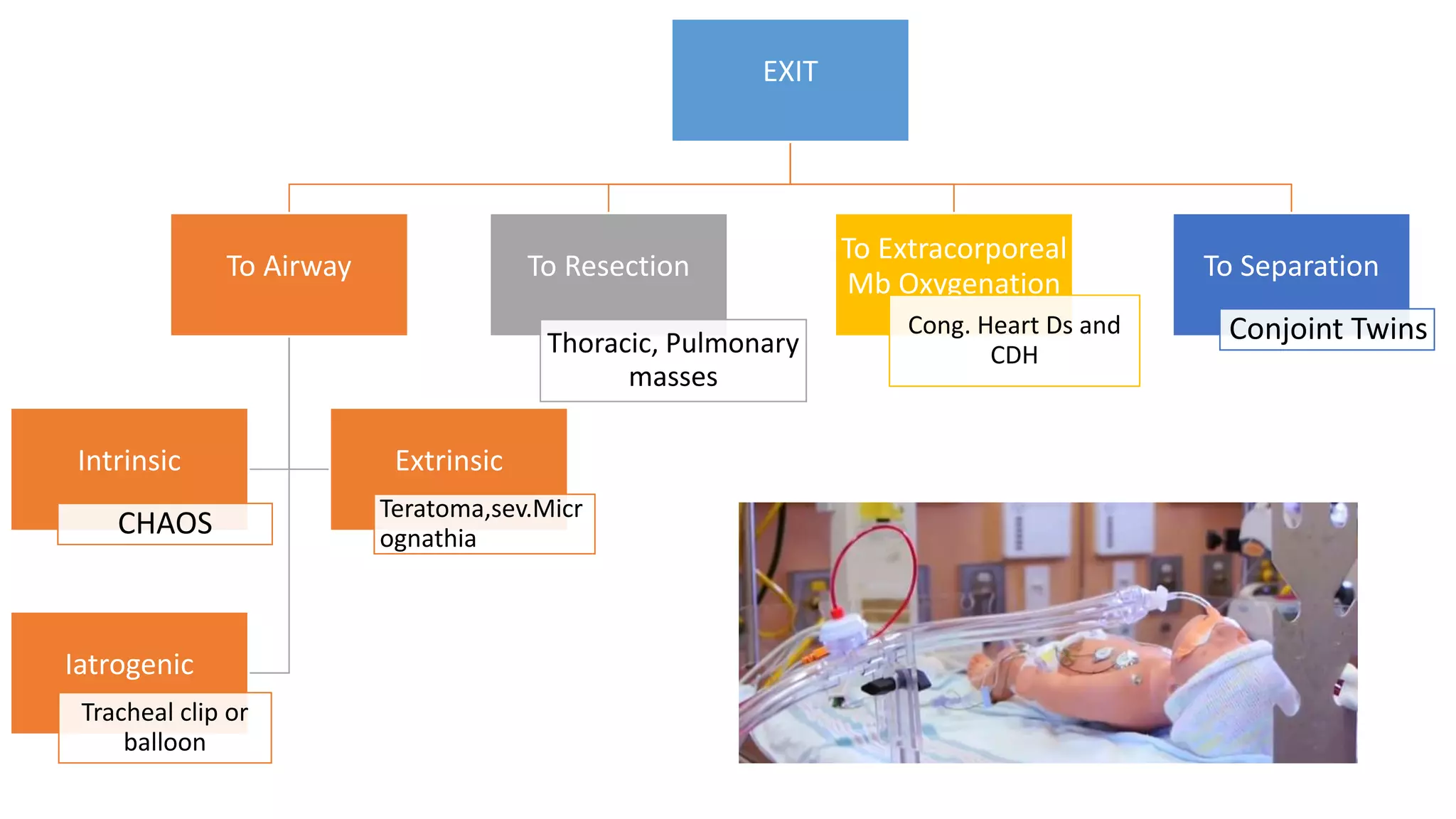 Fetal or Prenatal Surgery | PPTX