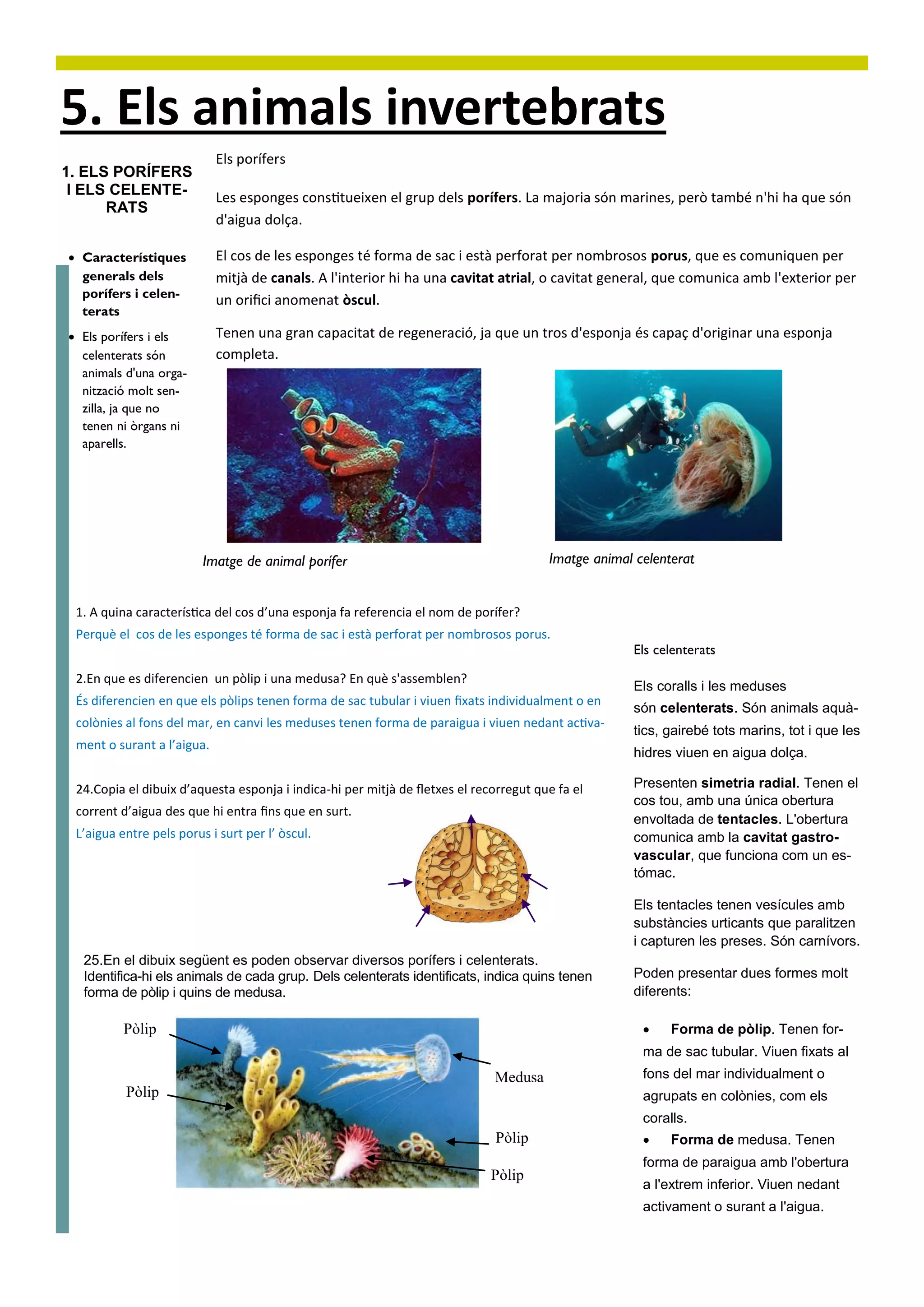 Animals invertebrats | PDF