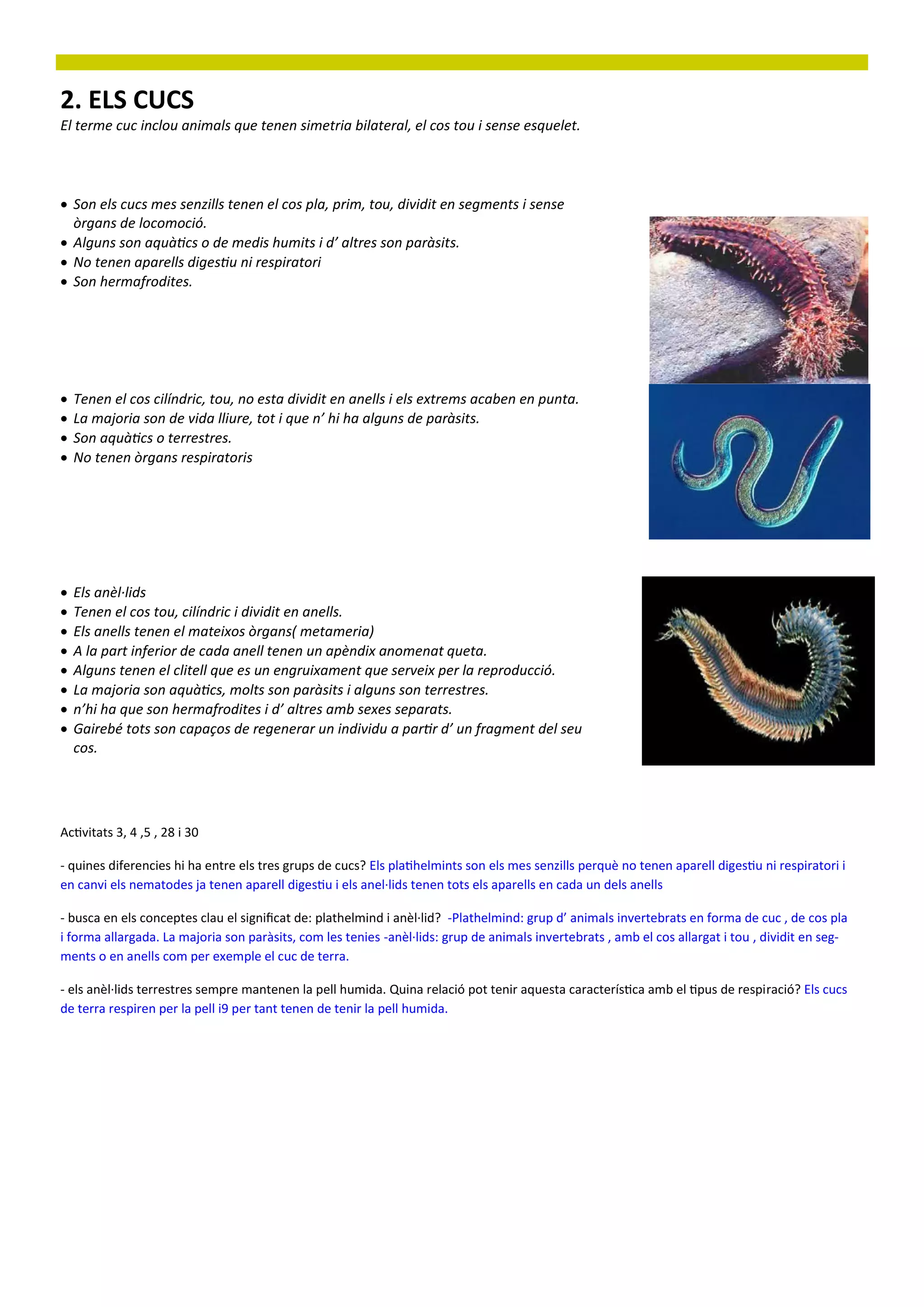 Animals invertebrats | PDF