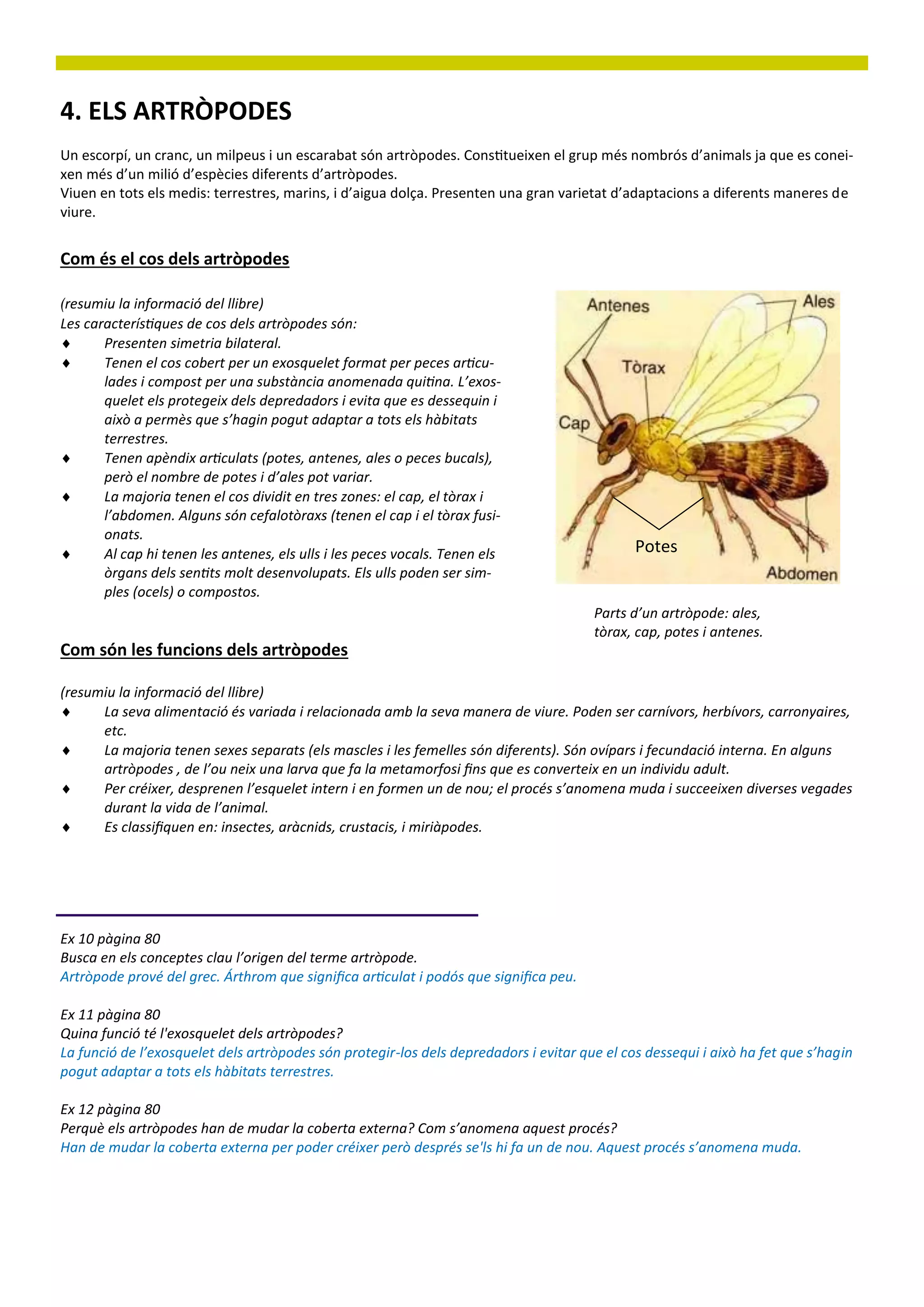Animals invertebrats | PDF