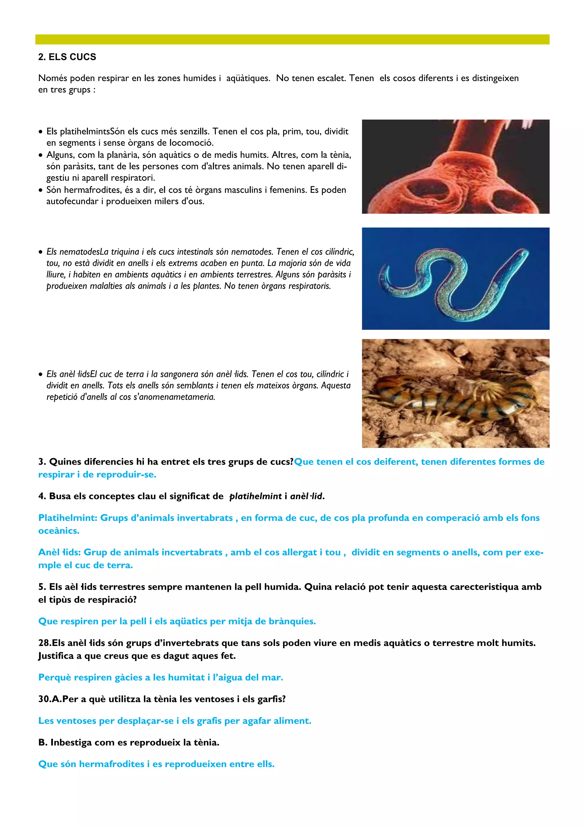 Animals invertebrats | PDF