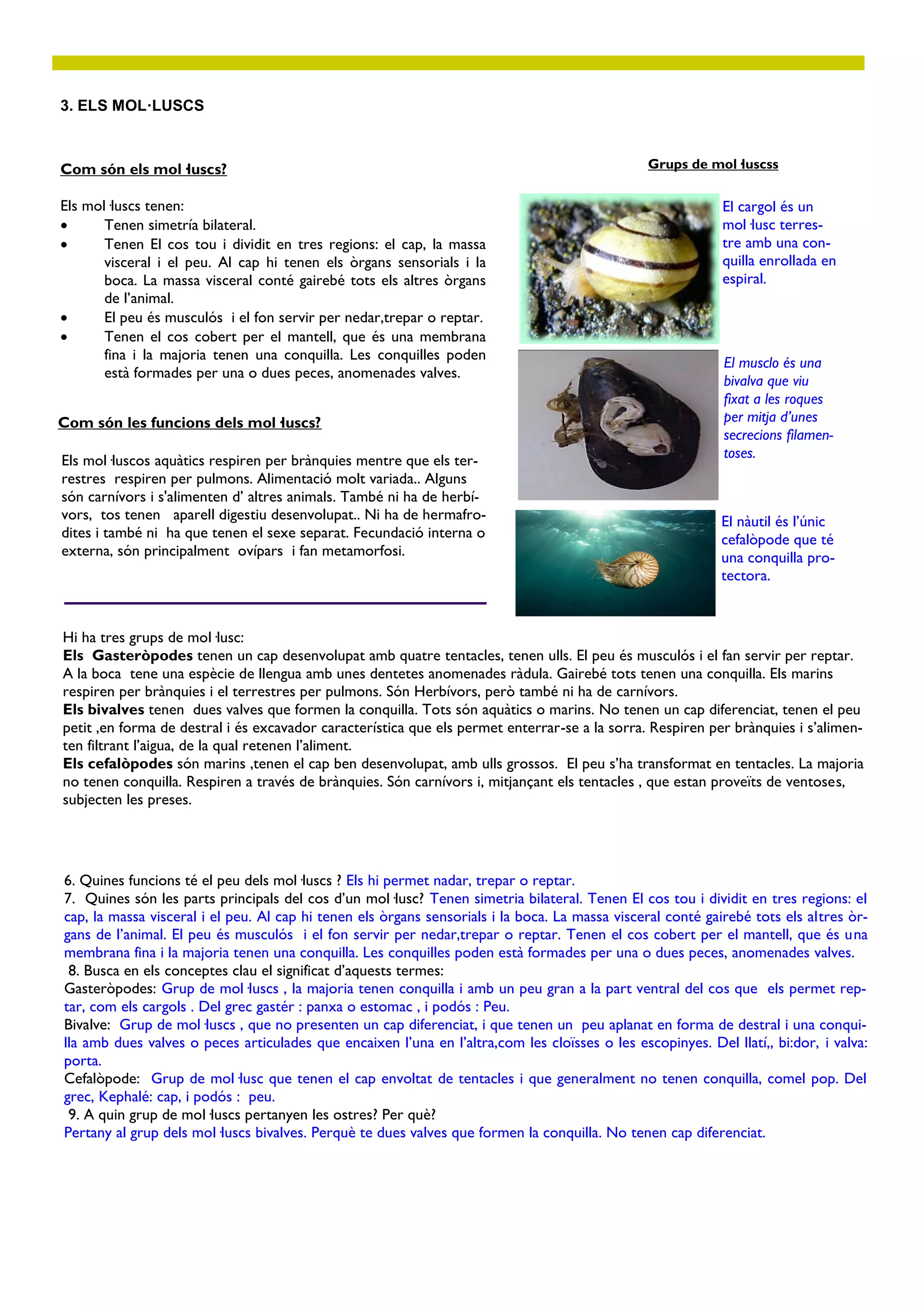Animals invertebrats | PDF
