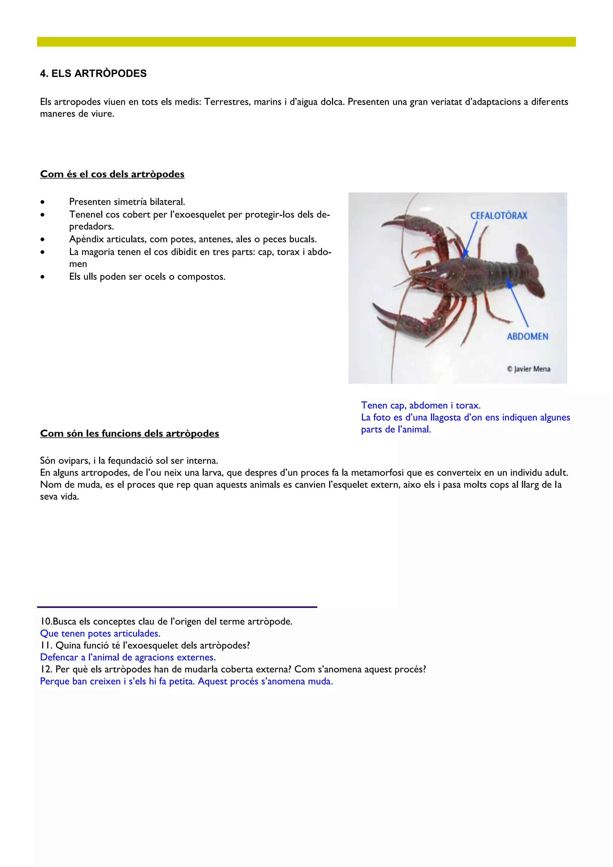 Animals invertebrats | PDF