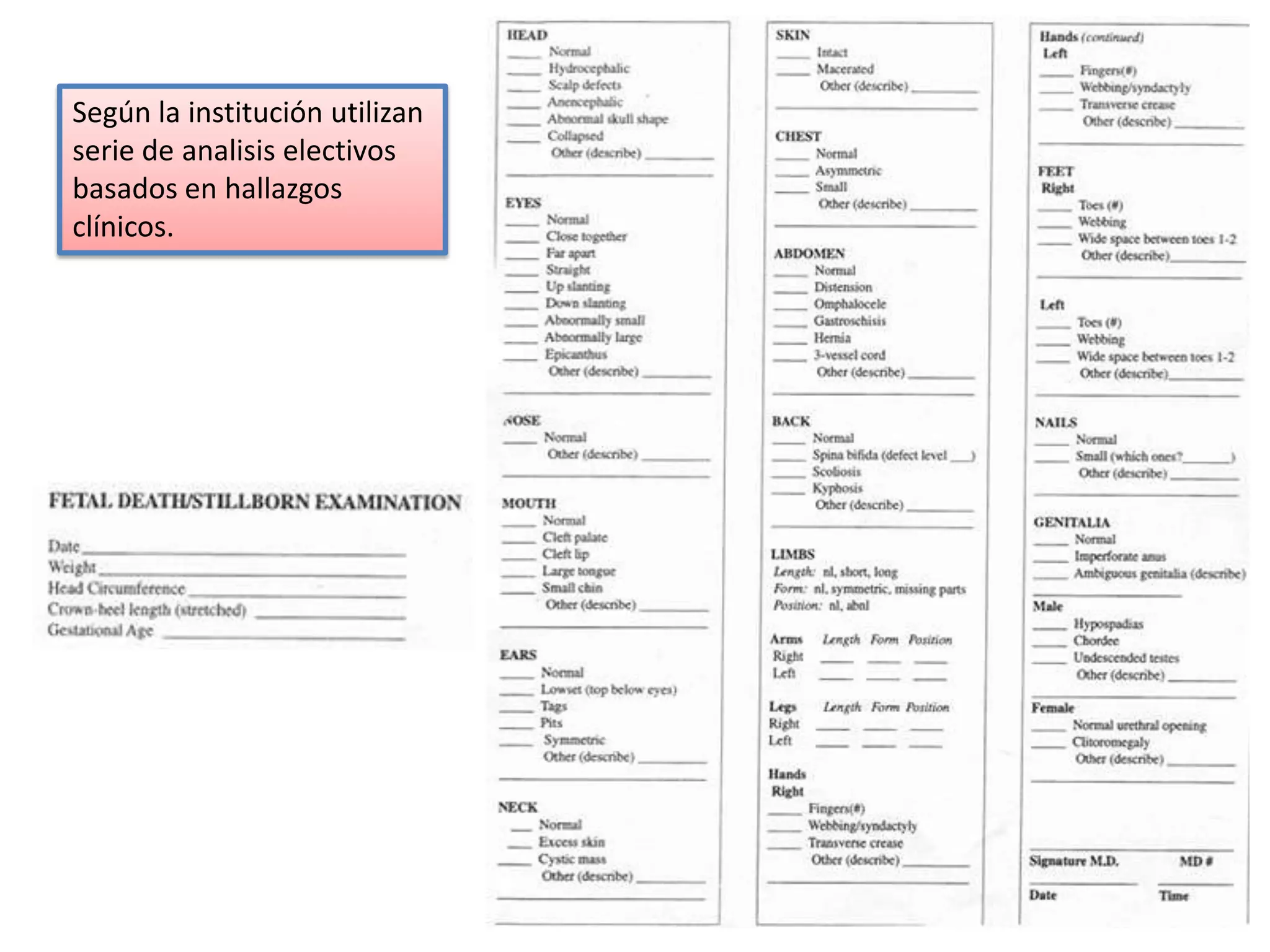Feto muerto ppt | PPTX | Pregnancy | Reproductive Health