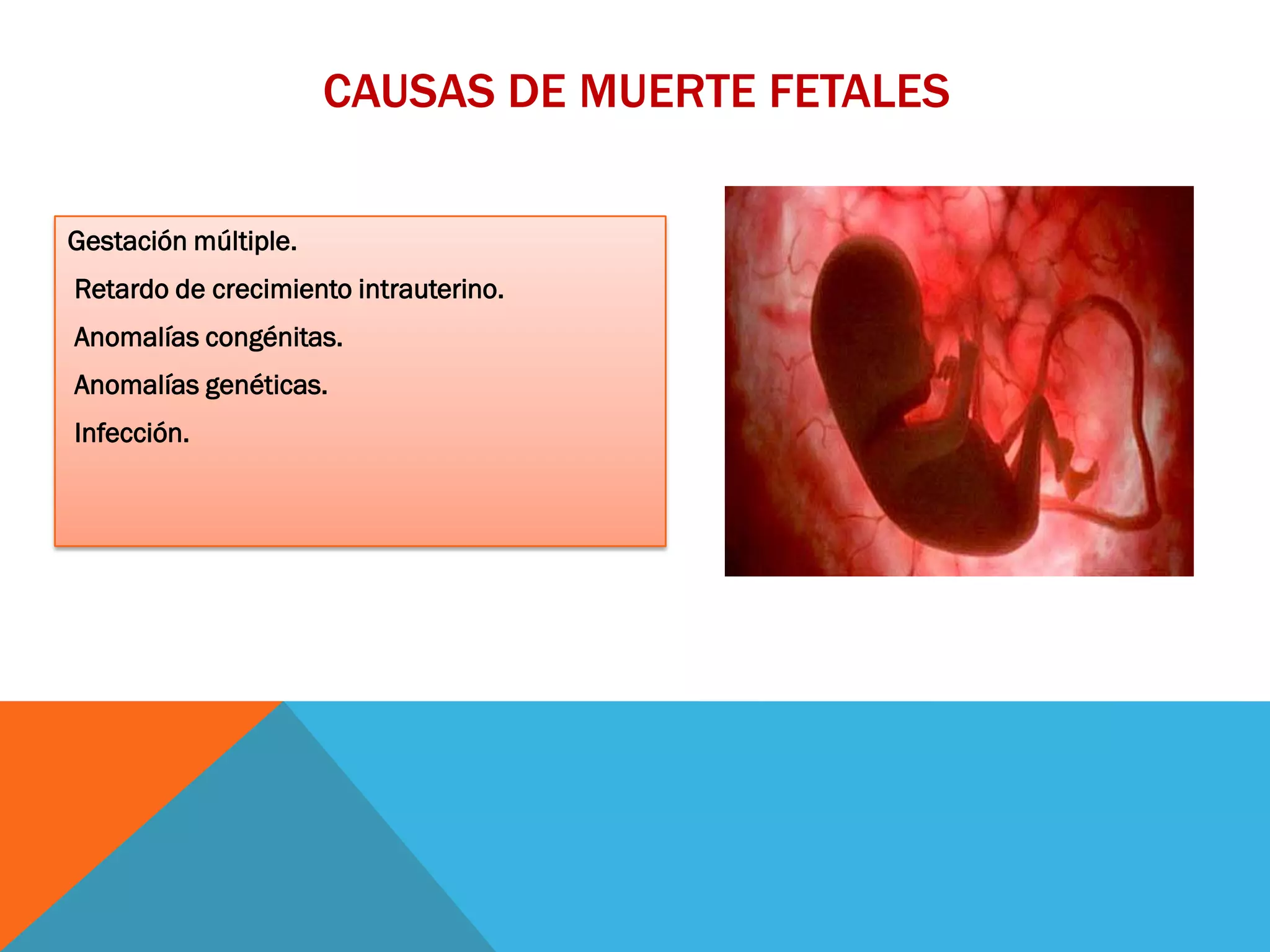 Feto muerto ppt | PPTX | Pregnancy | Reproductive Health