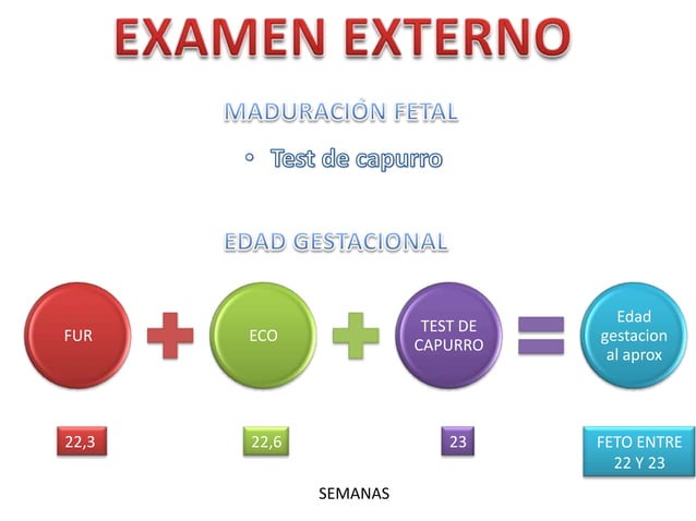 Feto muerto ppt | PPTX | Pregnancy | Reproductive Health