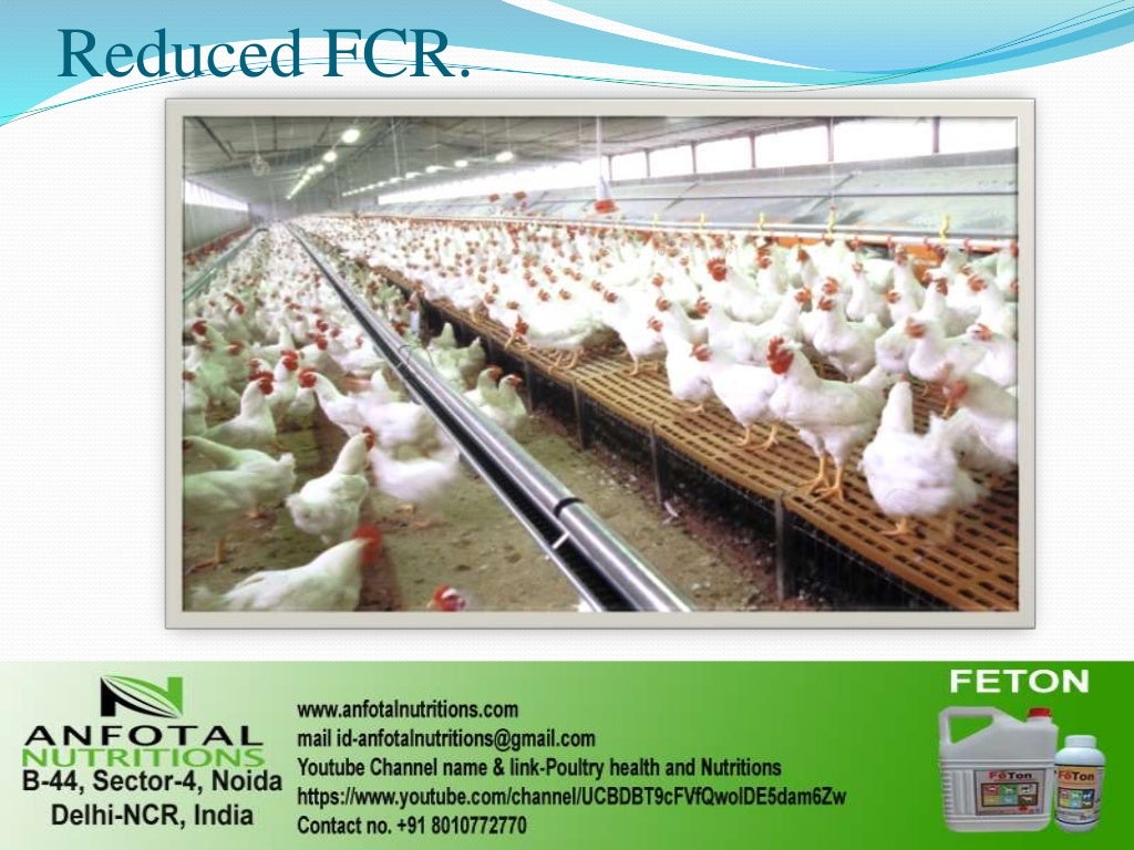 Poultry Growth Promoter Poultry Growth Promoter