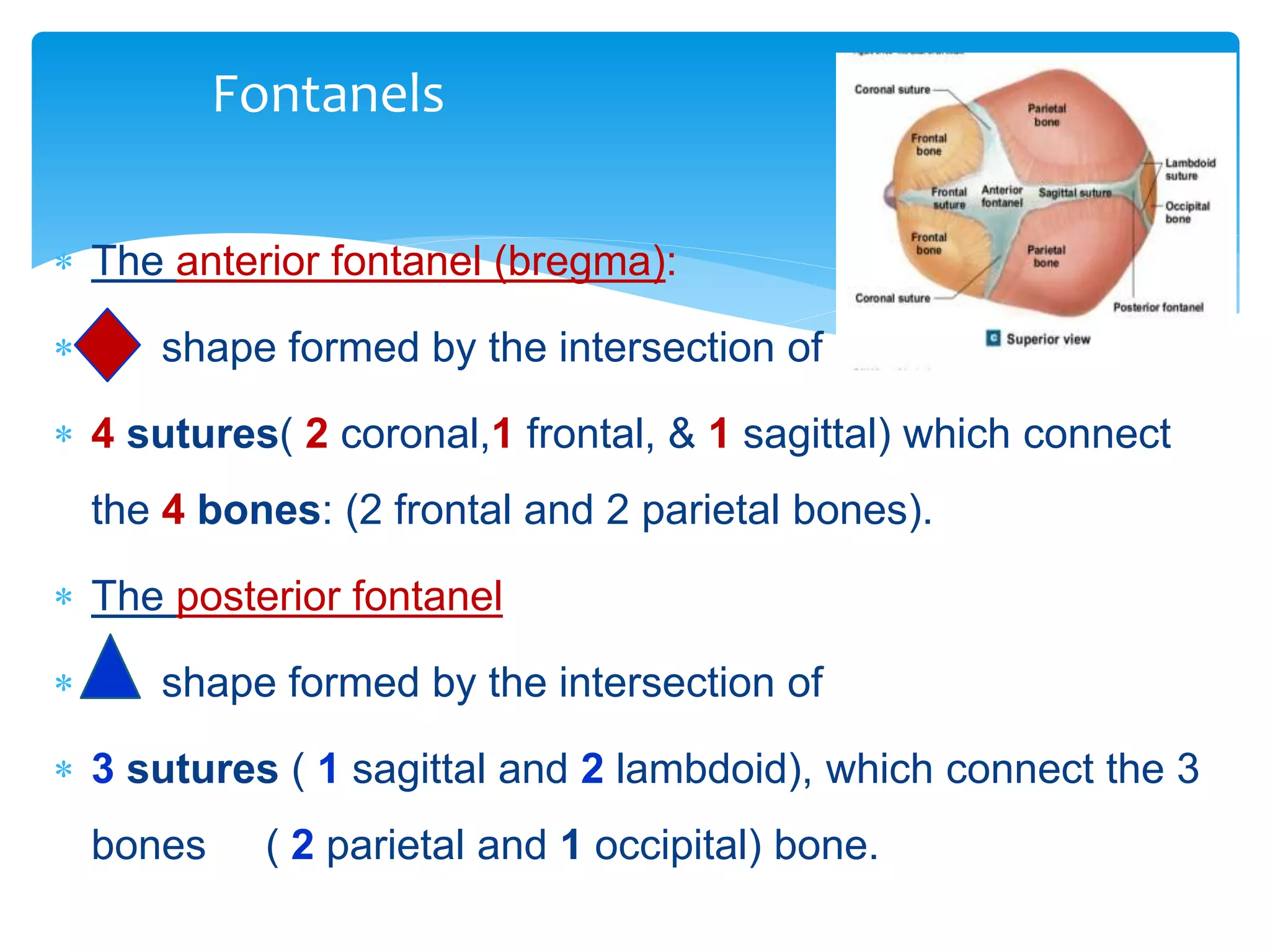 Fetopelvic relationship | PPTX