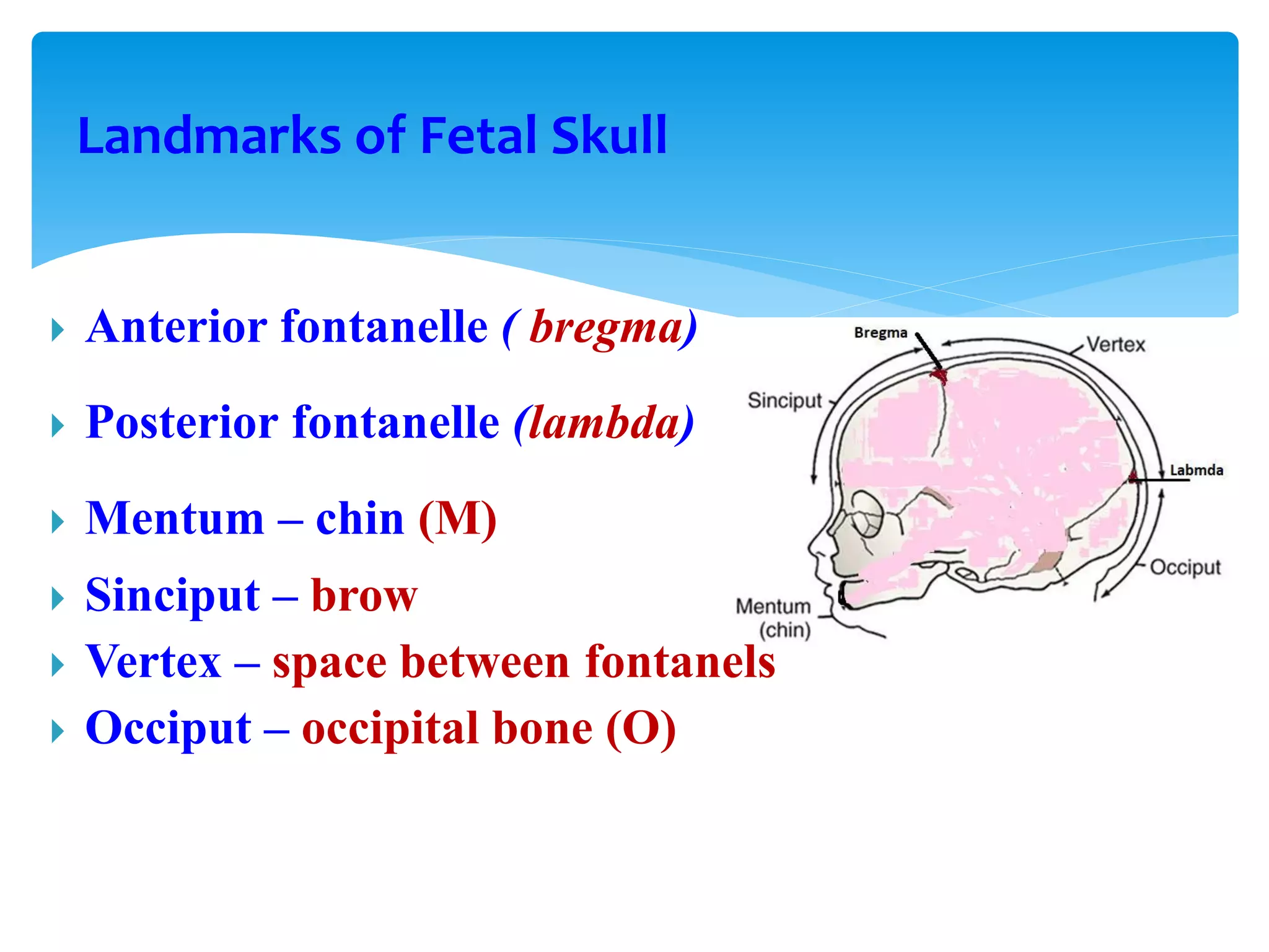 Fetopelvic relationship | PPTX